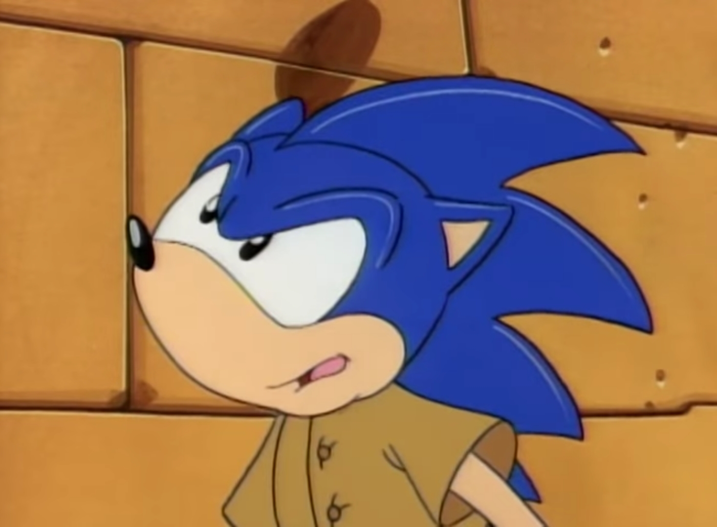 max6464646464's Cel Collection - Adventures of Sonic The Hedgehog