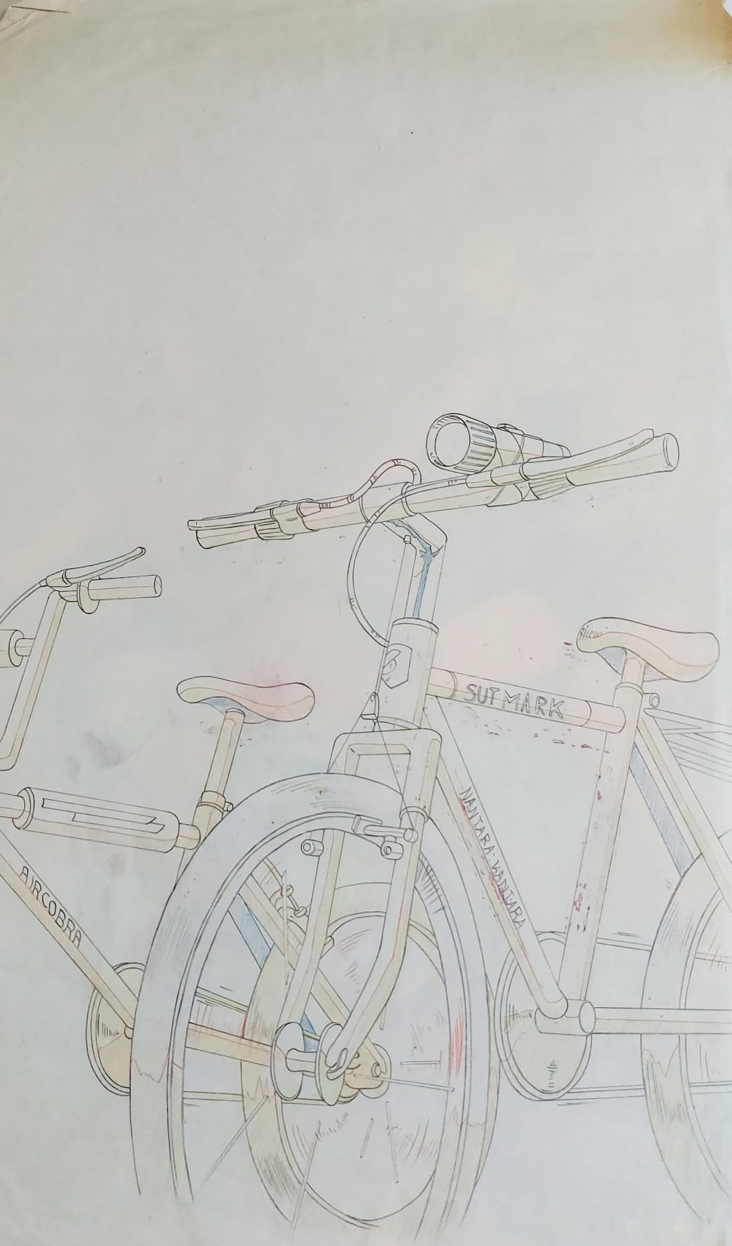 Saintbe Cel Collection - Bio Armor Ryger / Beast God Liger / Juushin Riger