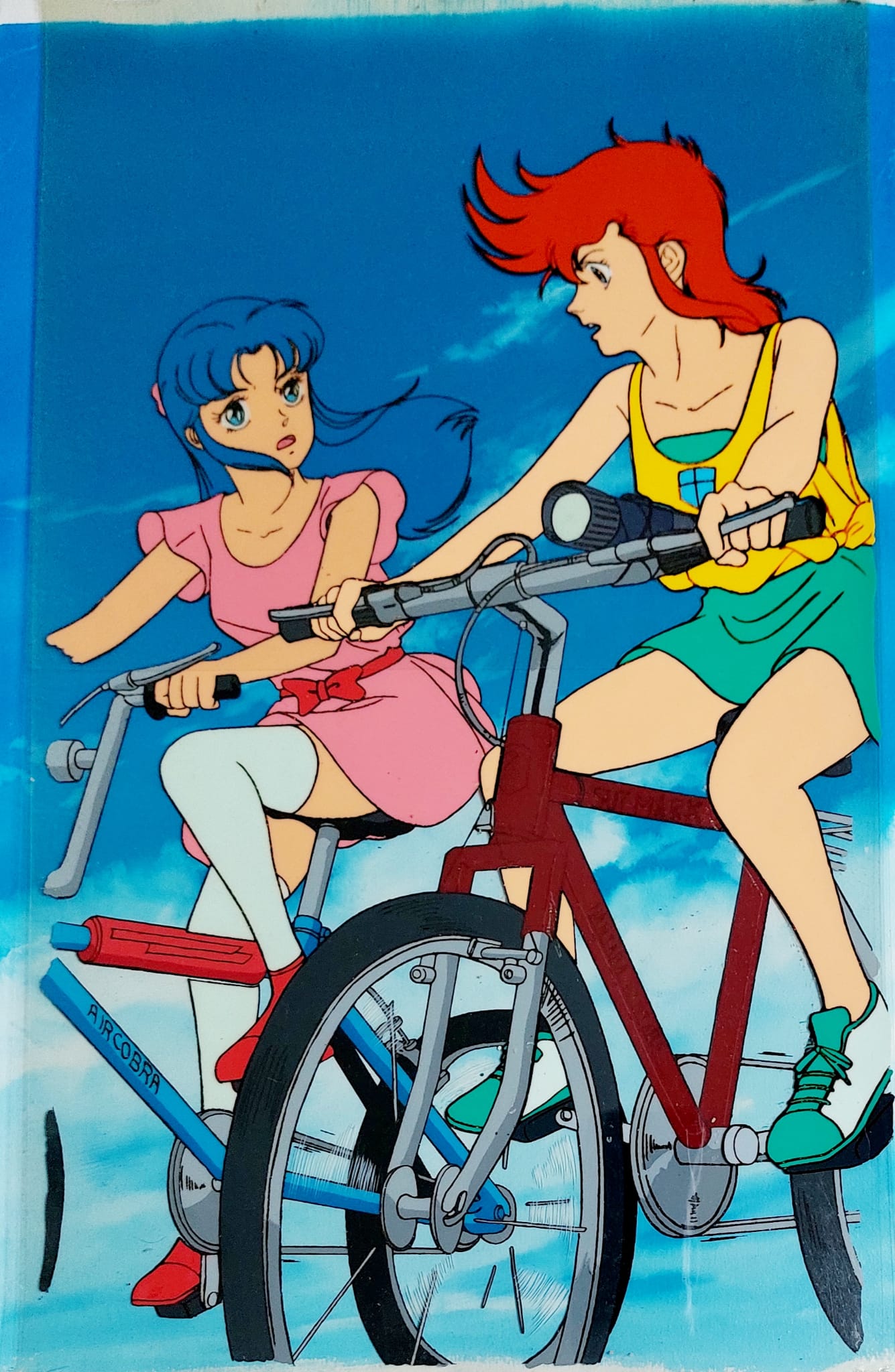 Saintbe Cel Collection - Bio Armor Ryger / Beast God Liger / Juushin Riger