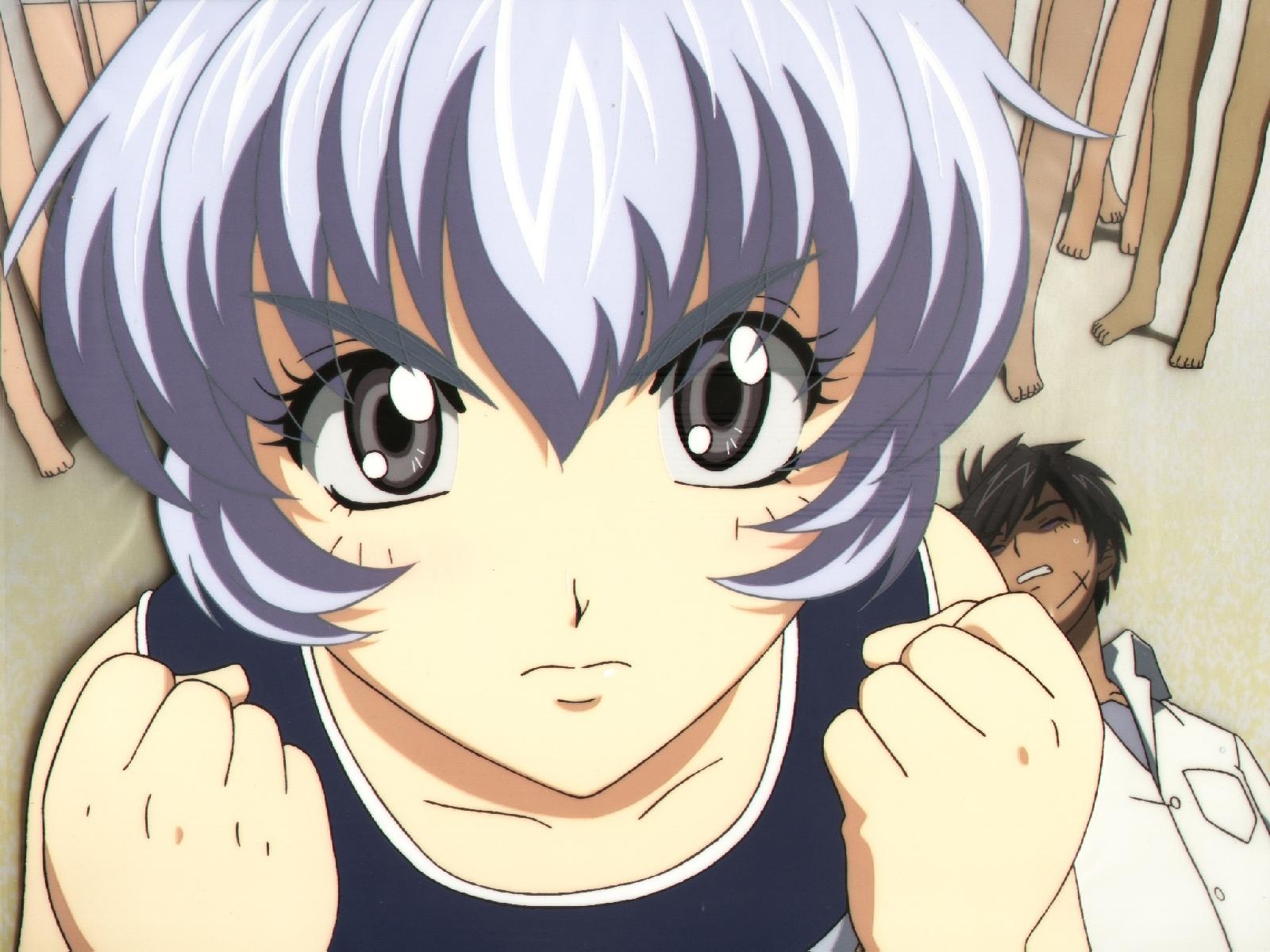 Phoenix Cel Gallery - Full Metal Panic? Fumoffu